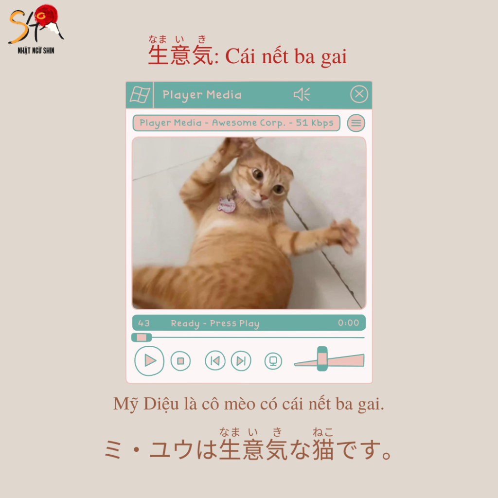 Học từ vựng tiếng Nhật cùng Hot Tiktoker Mỹ Diệu - Nhật ngữ SHIN